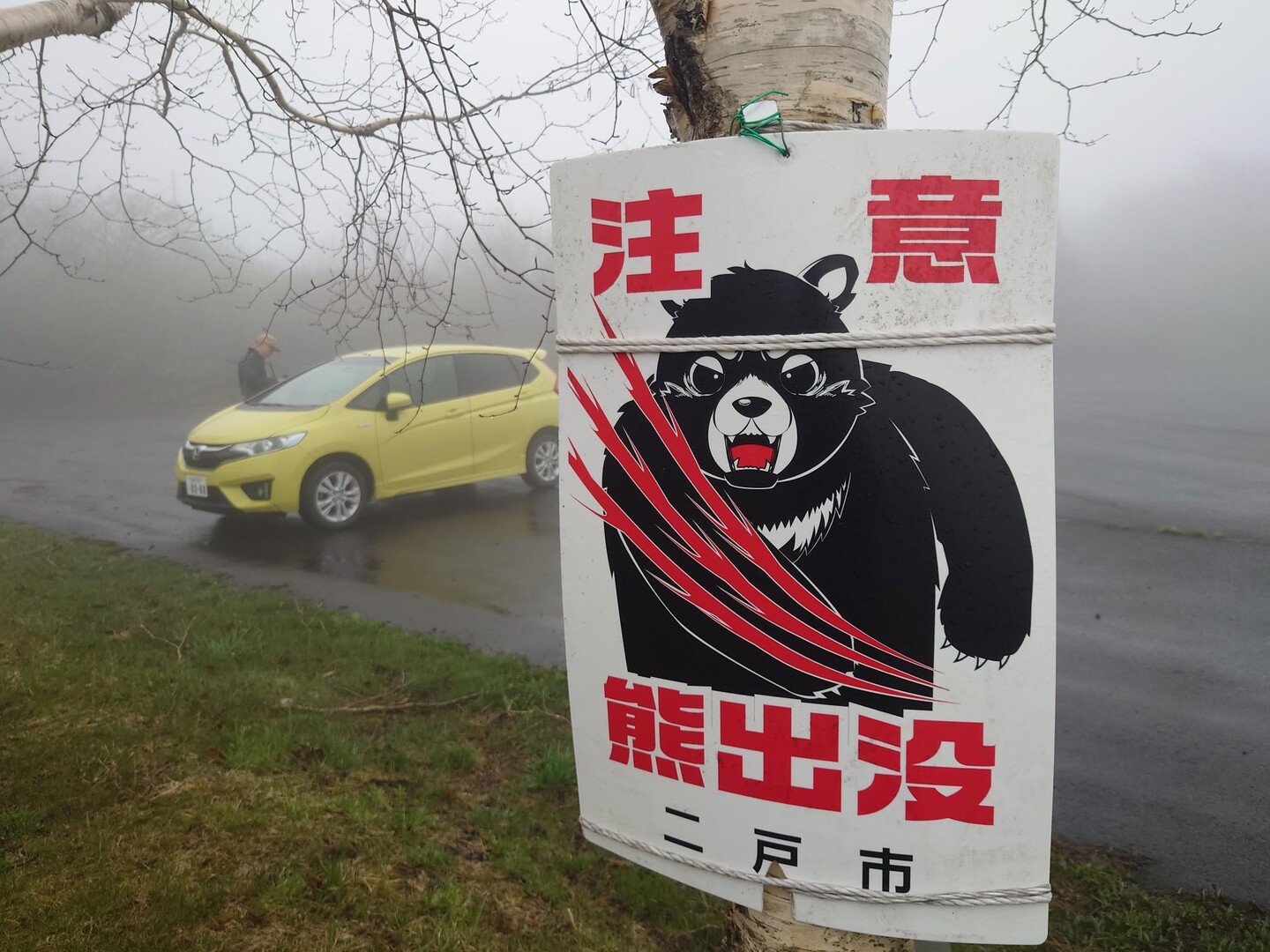 妥協案で折爪岳-2023-04-30 / G-Mikiさんの折爪岳の活動データ | YAMAP / ヤマップ