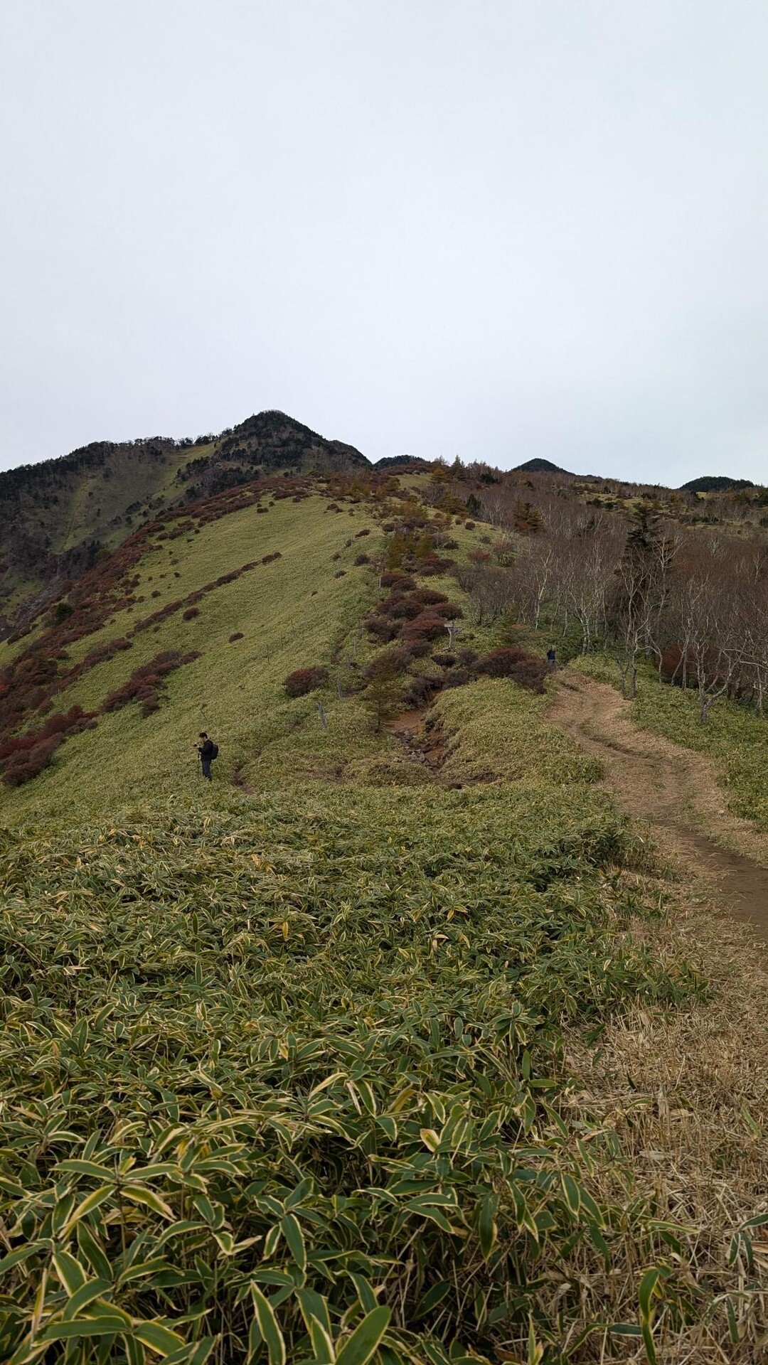 小丸山・赤薙山 / nonnon99さんの女峰山・赤薙山・大真名子山の活動データ | YAMAP / ヤマップ