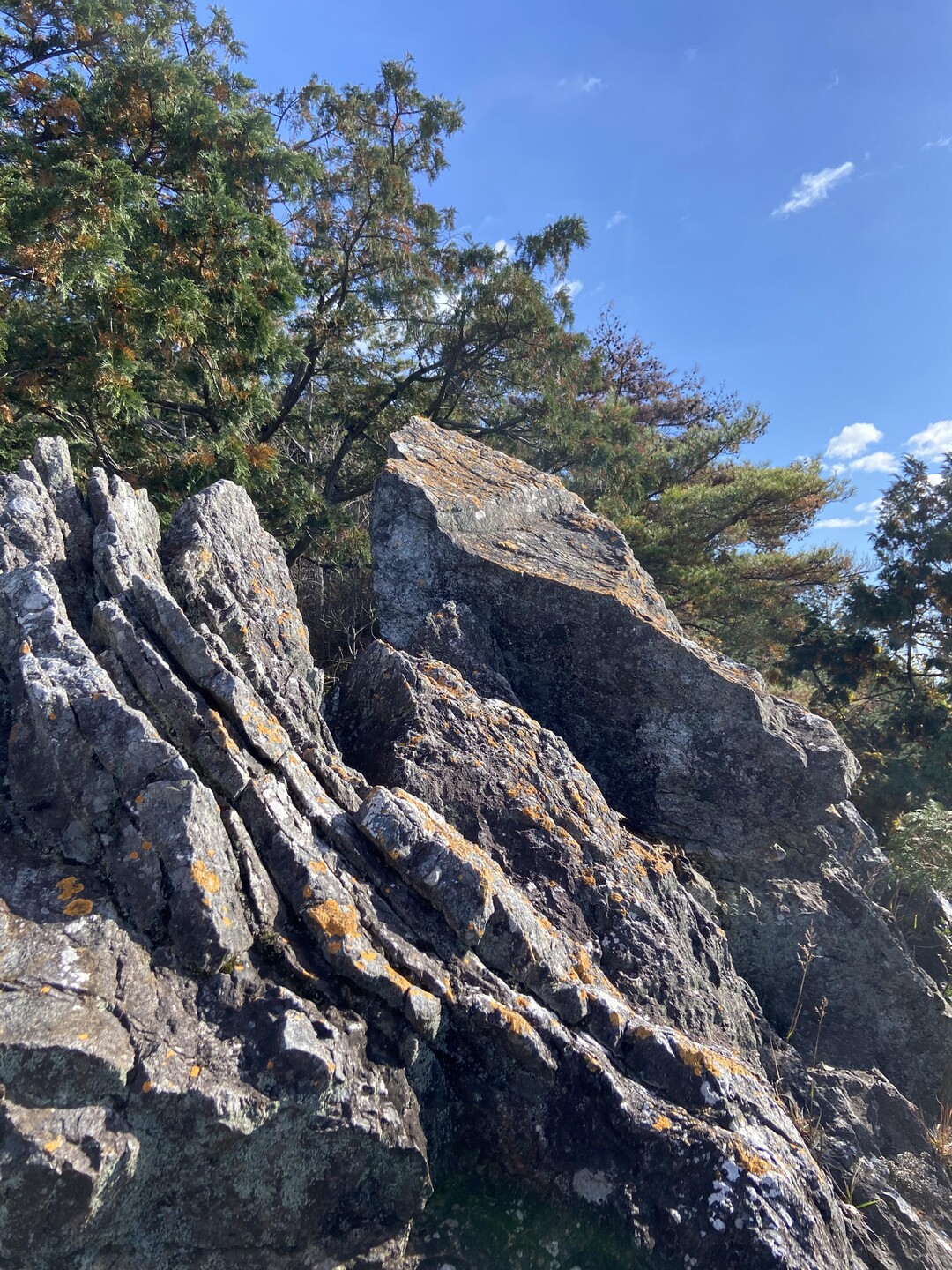 赤岩山・御嶽山 / cocoaさんの古賀志山・赤岩山・鞍掛山・男抱山・半蔵山の活動日記 | YAMAP / ヤマップ