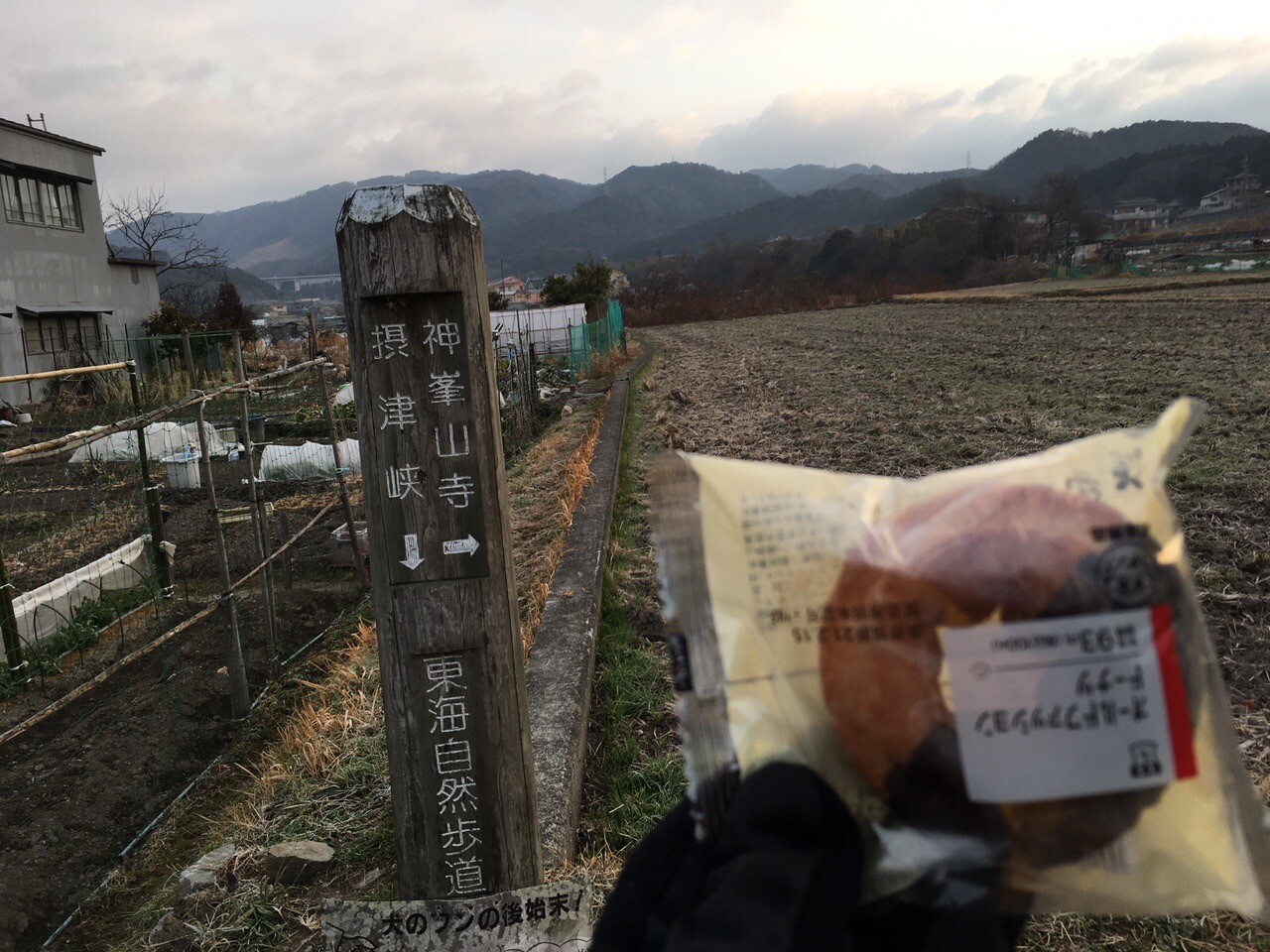 朝トレ 摂津峡通ってポンポン山に向かって... / ミカン de mikanさんのモーメント | YAMAP / ヤマップ