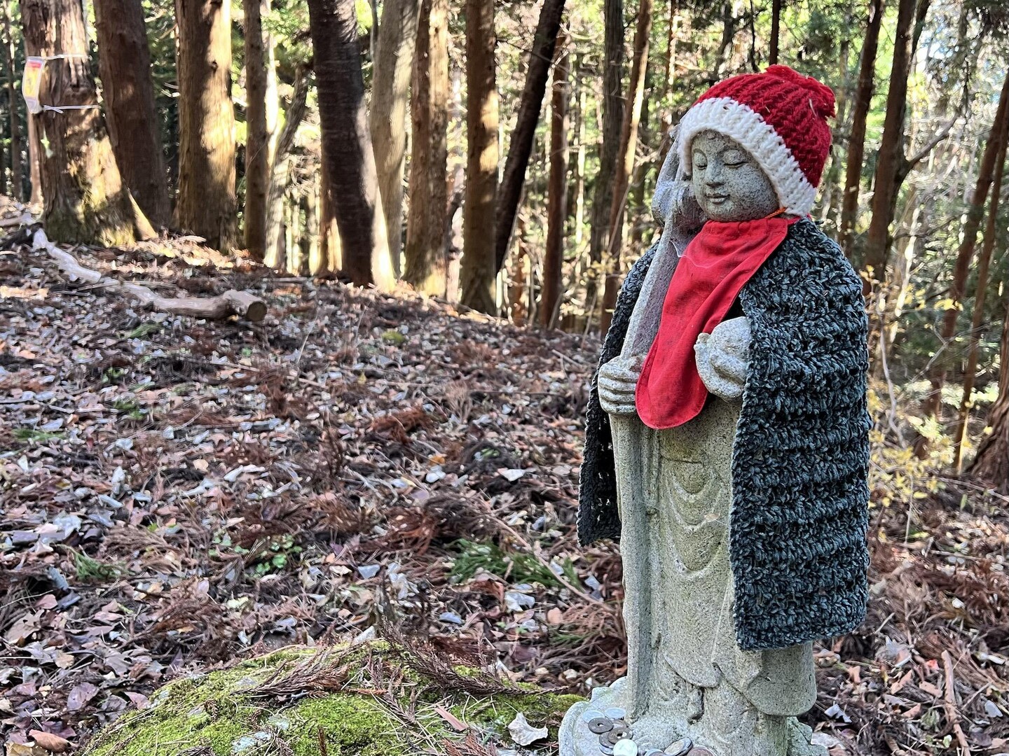 国見山 / ymatさんの国見山の活動データ | YAMAP / ヤマップ