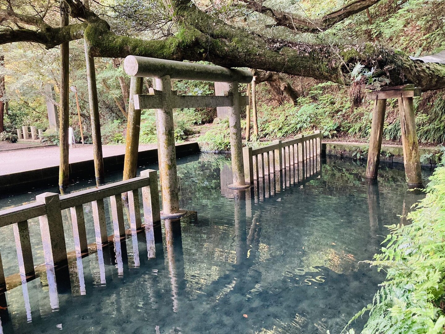 茨城1人旅vol 3 神秘的な旅ができて... / volcomさんのモーメント | YAMAP / ヤマップ