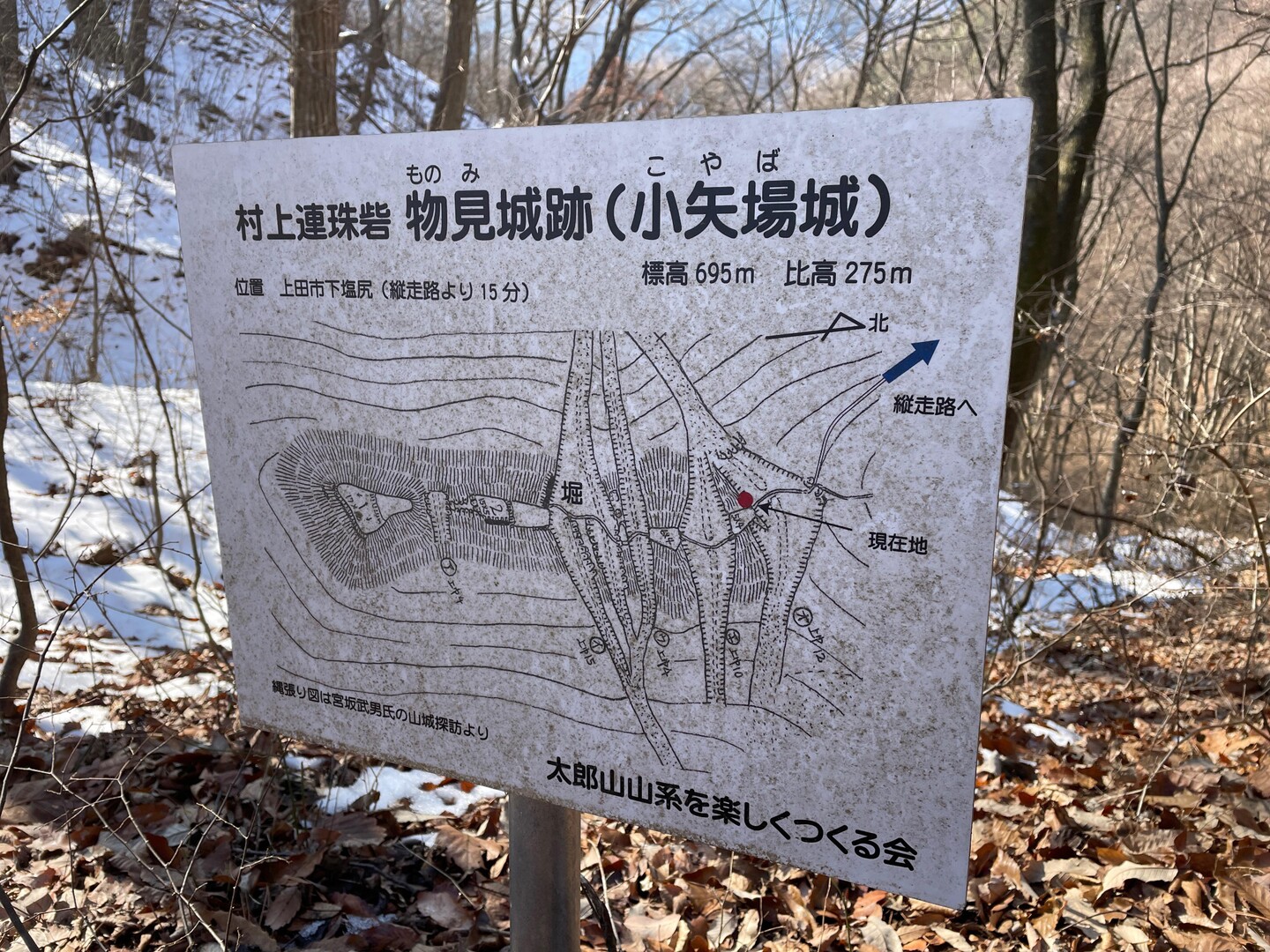 monamonaさんの投稿したフィールドメモ | YAMAP / ヤマップ