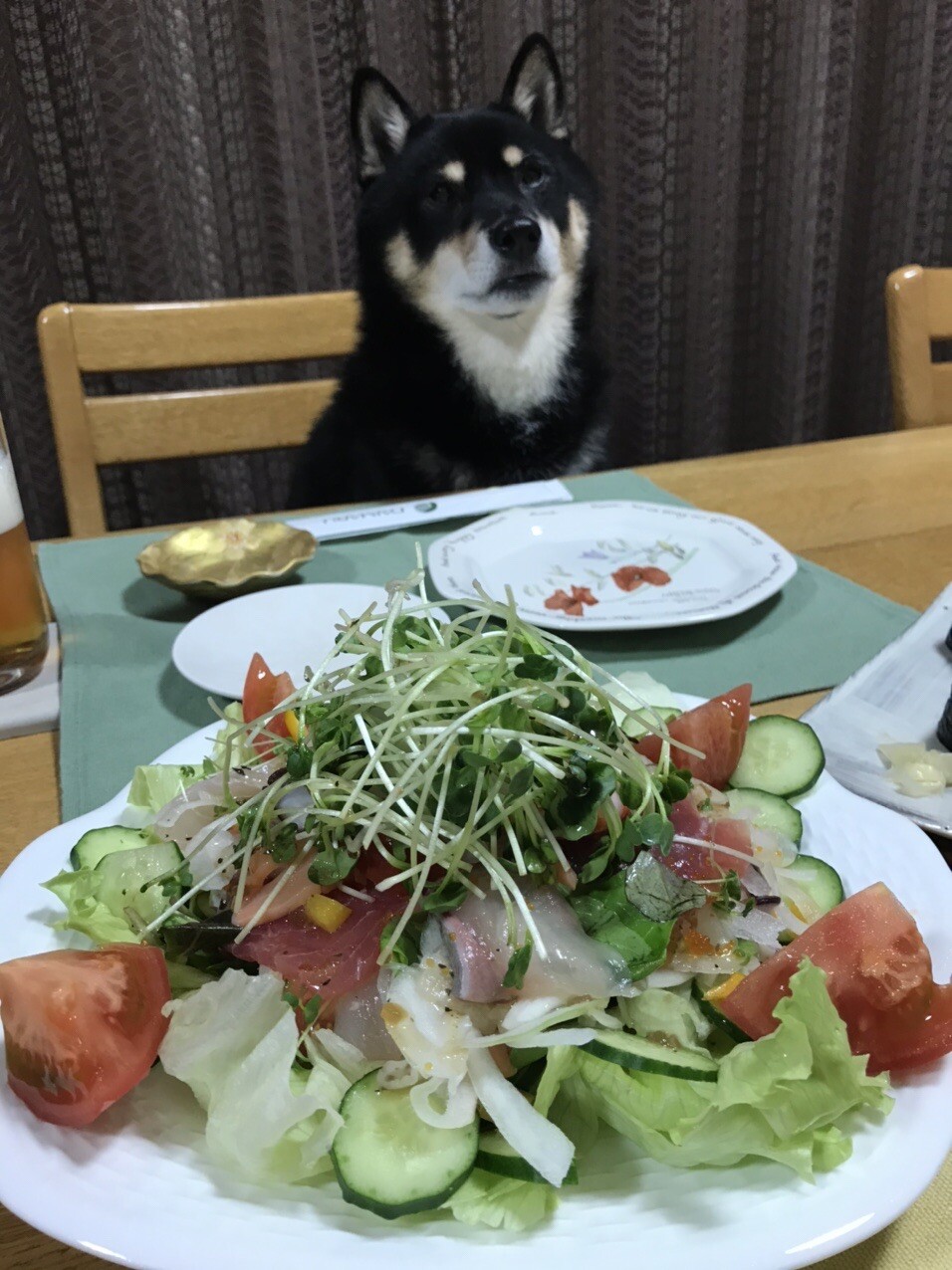 カルパッチョ食べたーい🐾 / えみクロさんのモーメント | YAMAP / ヤマップ