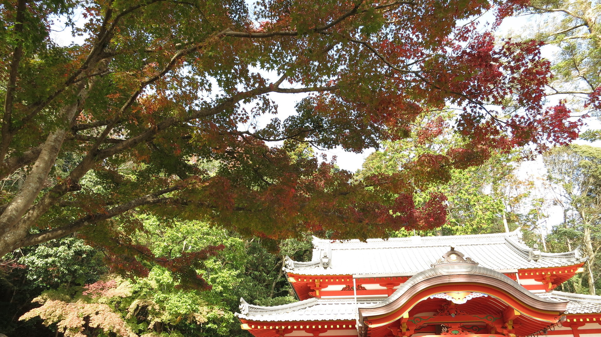 中山山頂～奥の院～中山観音 / bin0724さんの中山・大峰山の活動日記 | YAMAP / ヤマップ