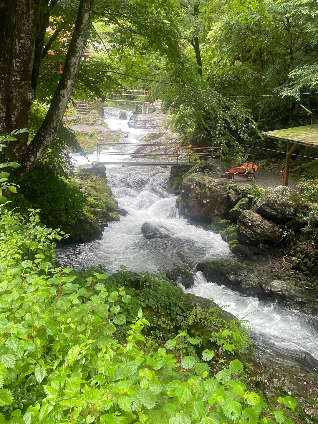 清東橋→棒ノ折山→御嶽駅 / Shoji-nさんの川苔山（川乗山）の活動データ | YAMAP / ヤマップ