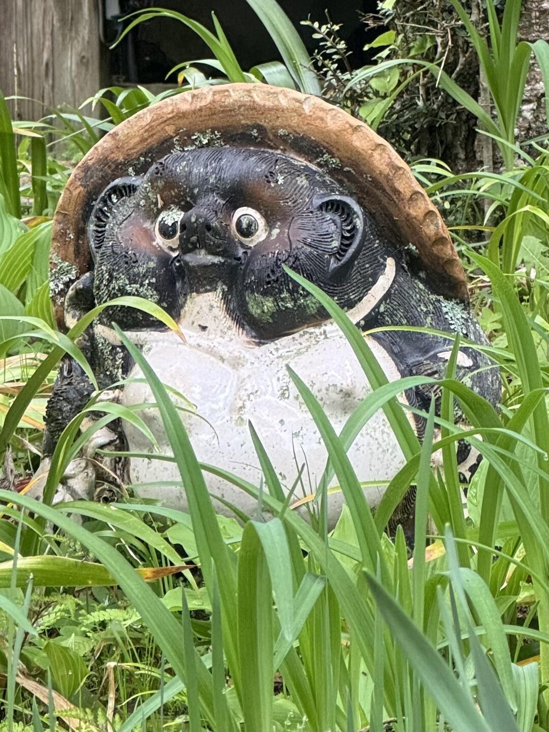 金剛山 / mt.take4さんの金剛山・二上山・大和葛城山の活動データ | YAMAP / ヤマップ