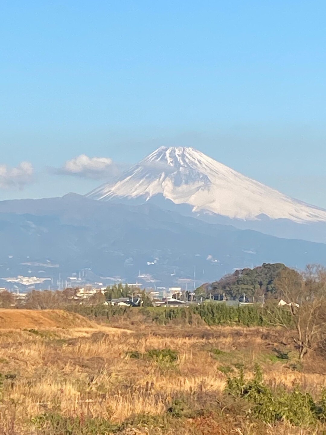 今日は海抜10mからスタート / ともやんさんの沼津アルプス・鷲頭山・香貫山の活動データ | YAMAP / ヤマップ