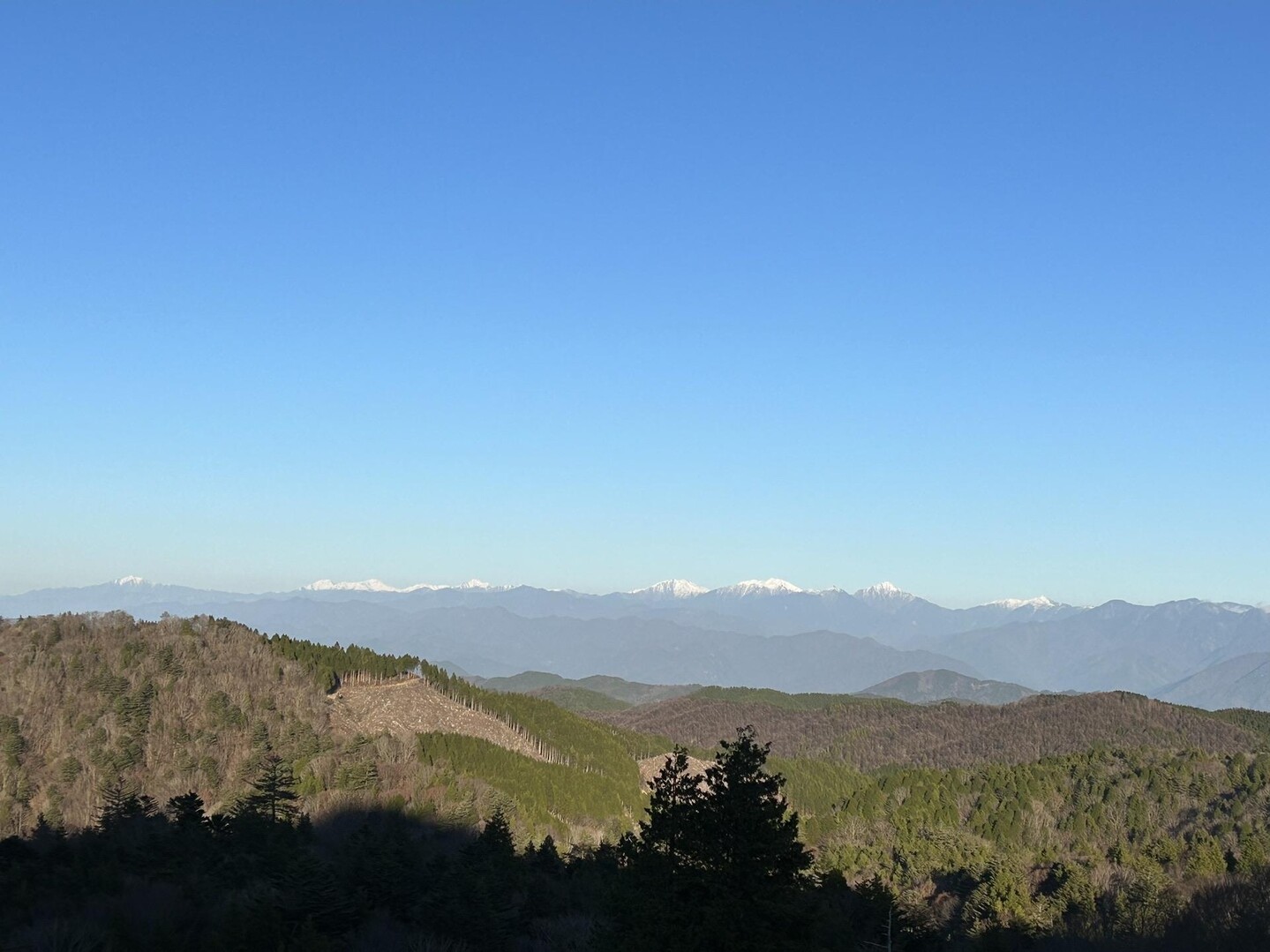 萩太郎山・茶臼山 / BPさんの茶臼山・萩太郎山の活動データ | YAMAP / ヤマップ