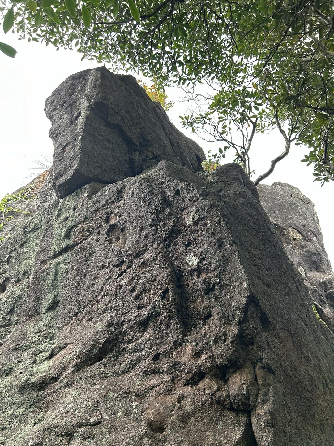 矢筈岳 / Hiro さんの矢筈岳の活動データ | YAMAP / ヤマップ