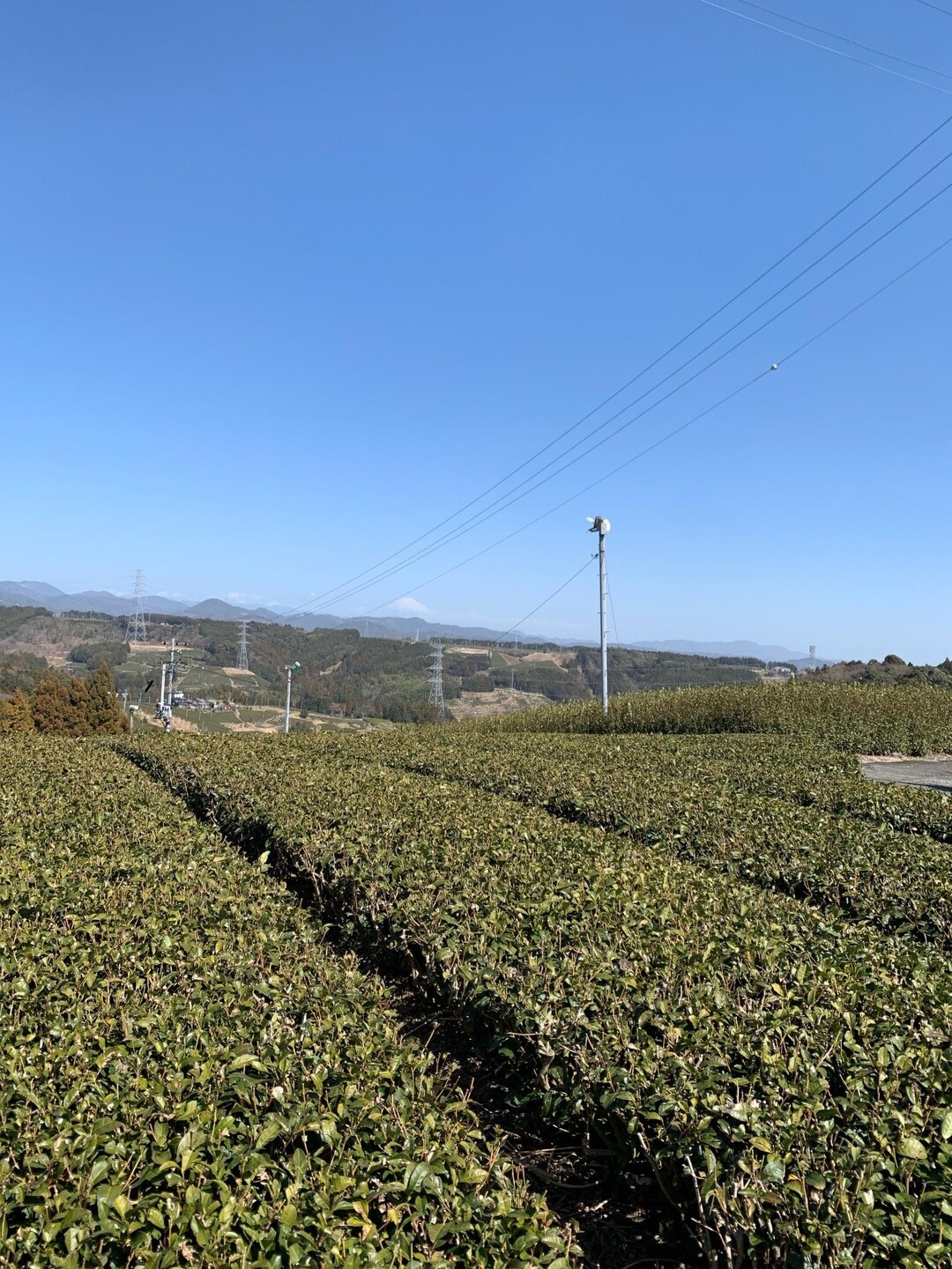 小夜の中山峠・火剣山 / jimきちさんの火剣山の活動データ | YAMAP / ヤマップ