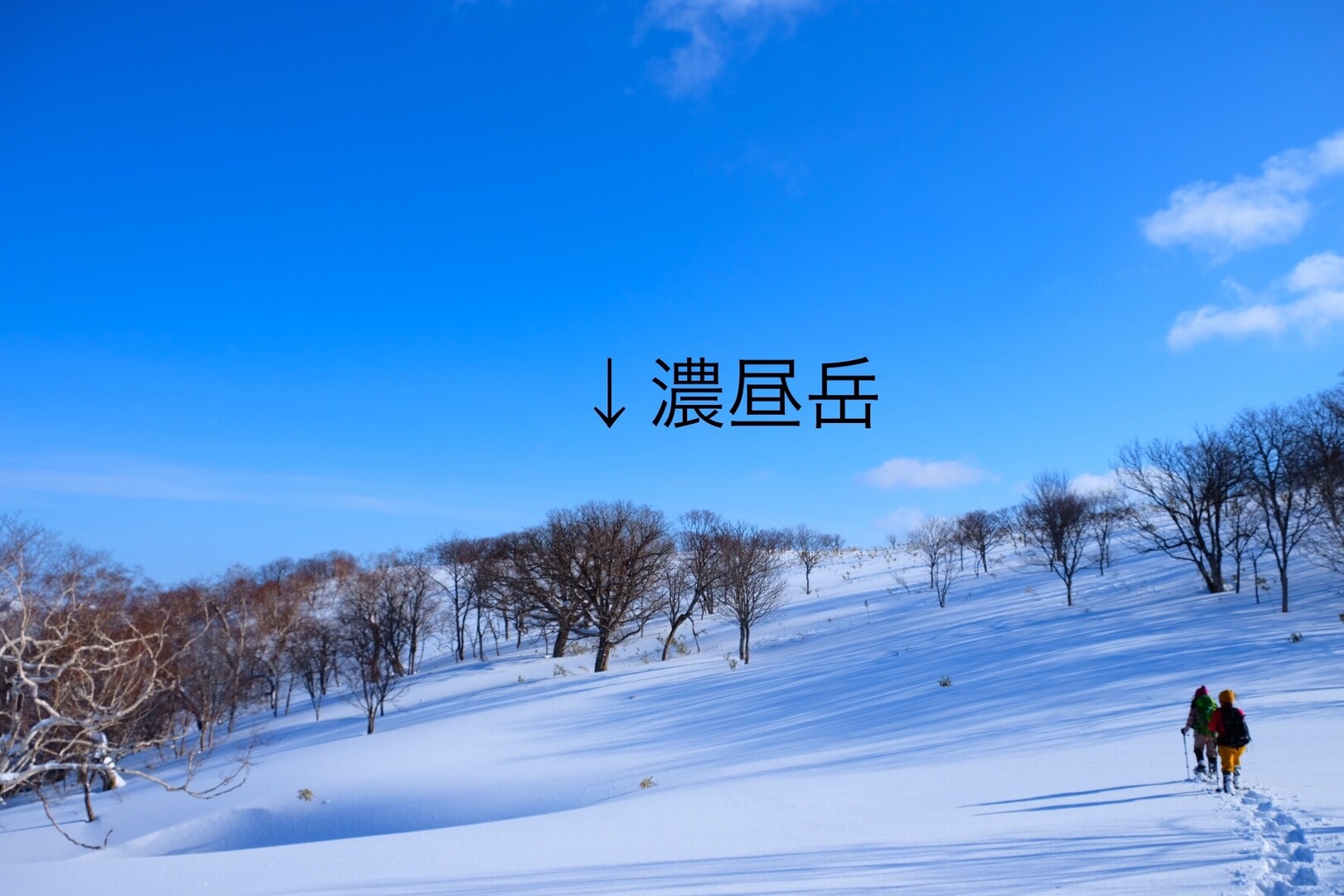 濃昼岳 浜益10山〜〜9座目‼️ / naoさんの濃昼山道の活動日記 | YAMAP / ヤマップ