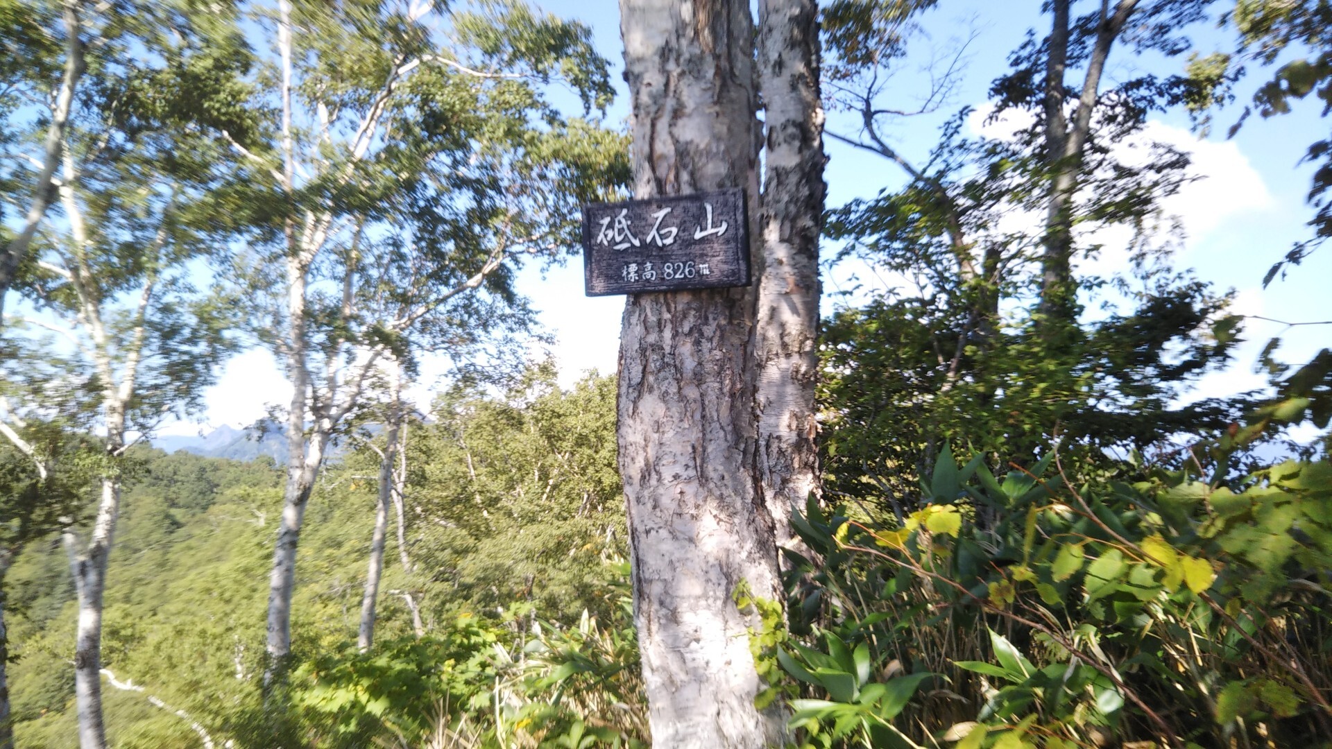 三角山・砥石山 / kuri panさんの砥石山・青山の活動データ | YAMAP / ヤマップ