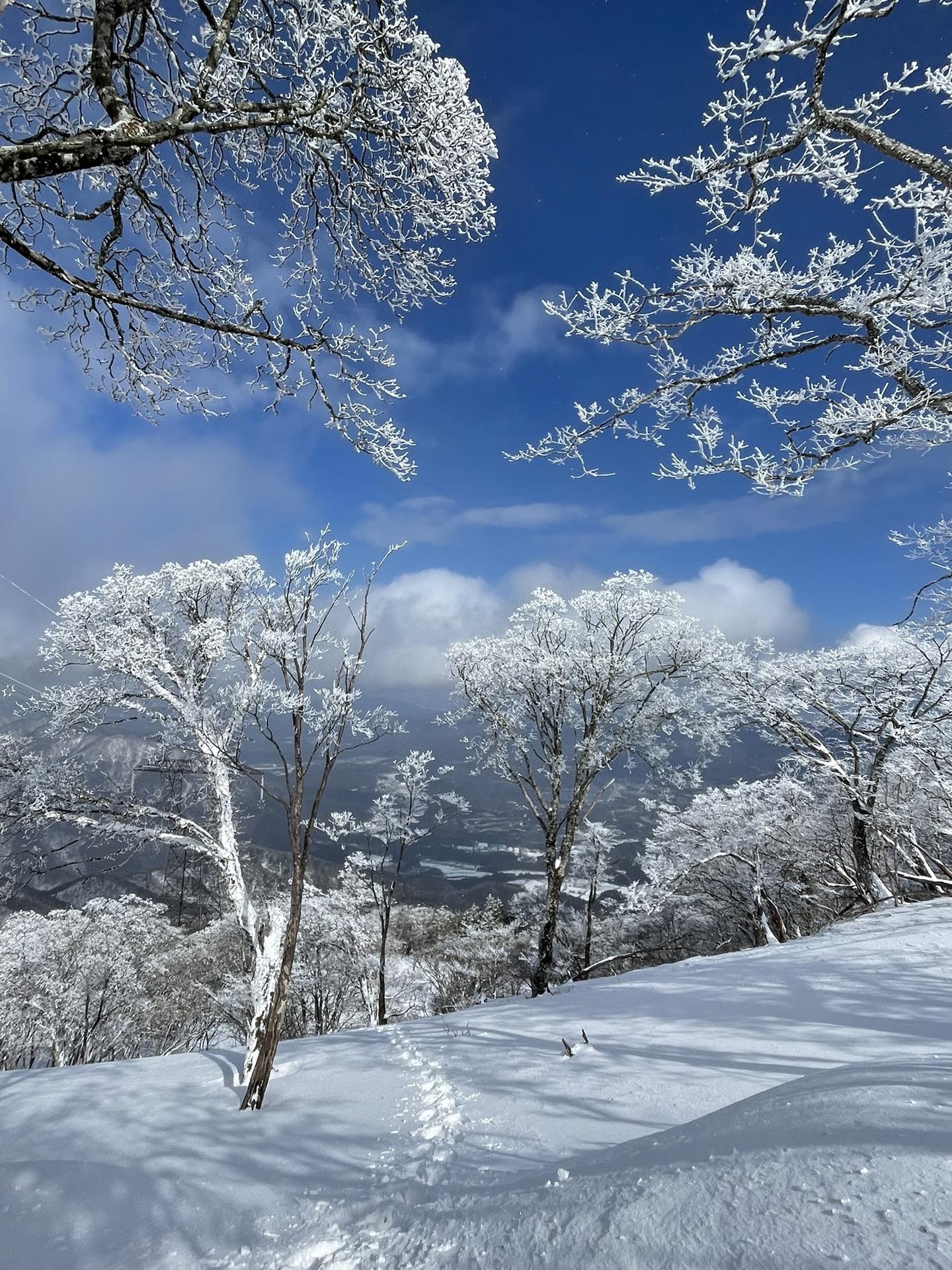 登頂できなかったが幻想的な世界を満喫！ / Bobさんの藤原岳・御池岳の活動データ | YAMAP / ヤマップ
