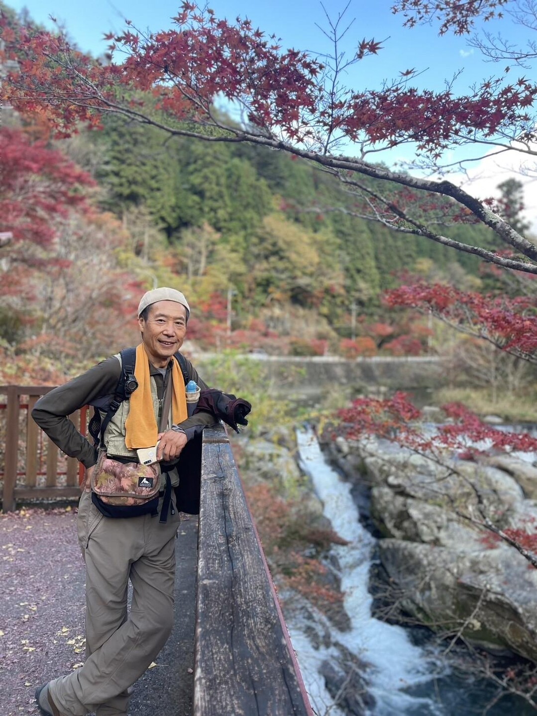 (276)大井平公園(1)・武節城跡(初)🍁紅葉真っ盛り🍁 / Kazz1950さんの夏焼城ヶ山・月ヶ平の活動データ | YAMAP / ヤマップ