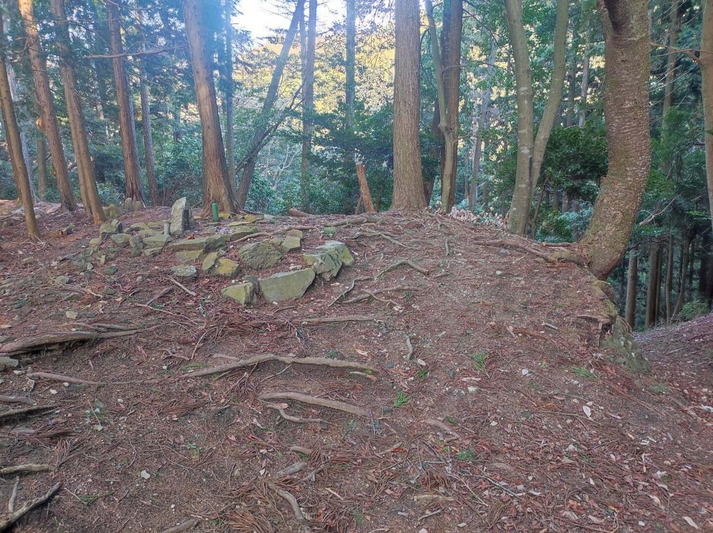 比叡山 登れず / konchanさんの比叡山・横高山・梶山の活動データ | YAMAP / ヤマップ