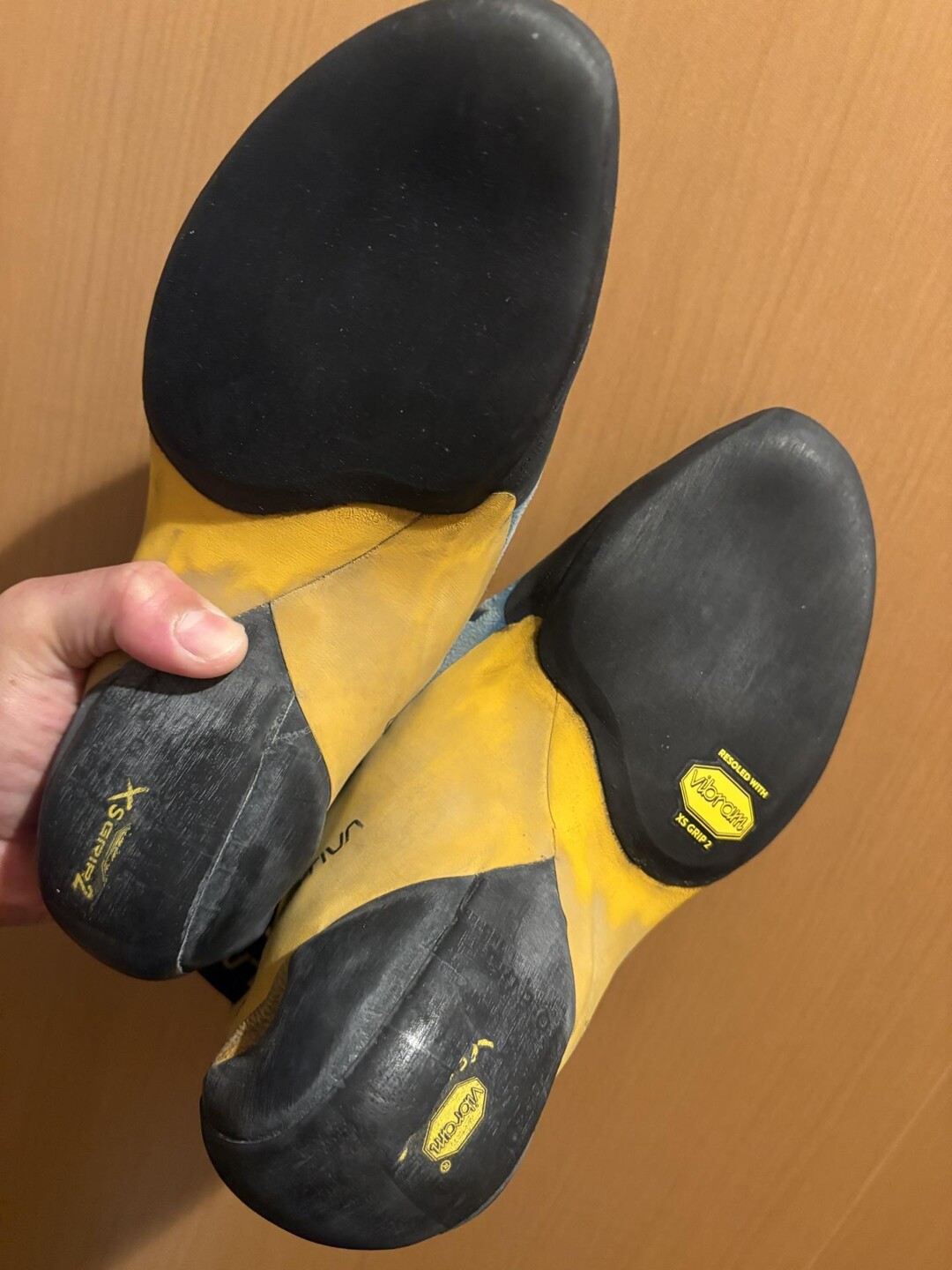 フューチュラがリソールから帰ってきた！ ... / CHATAさんのモーメント | YAMAP / ヤマップ