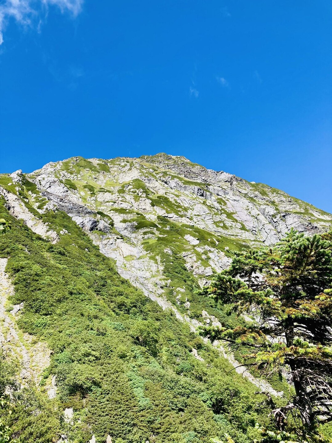 【百名山⑦】北岳 広河原ピストン / Hiropさんの北岳・間ノ岳・農鳥岳の活動データ | YAMAP / ヤマップ