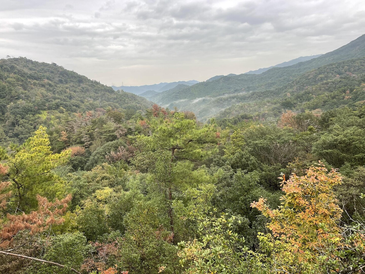 （STM）犬鳴山〜山中渓 / aki.sさんの紀泉アルプス・飯盛山・ボンデン山の活動データ | YAMAP / ヤマップ