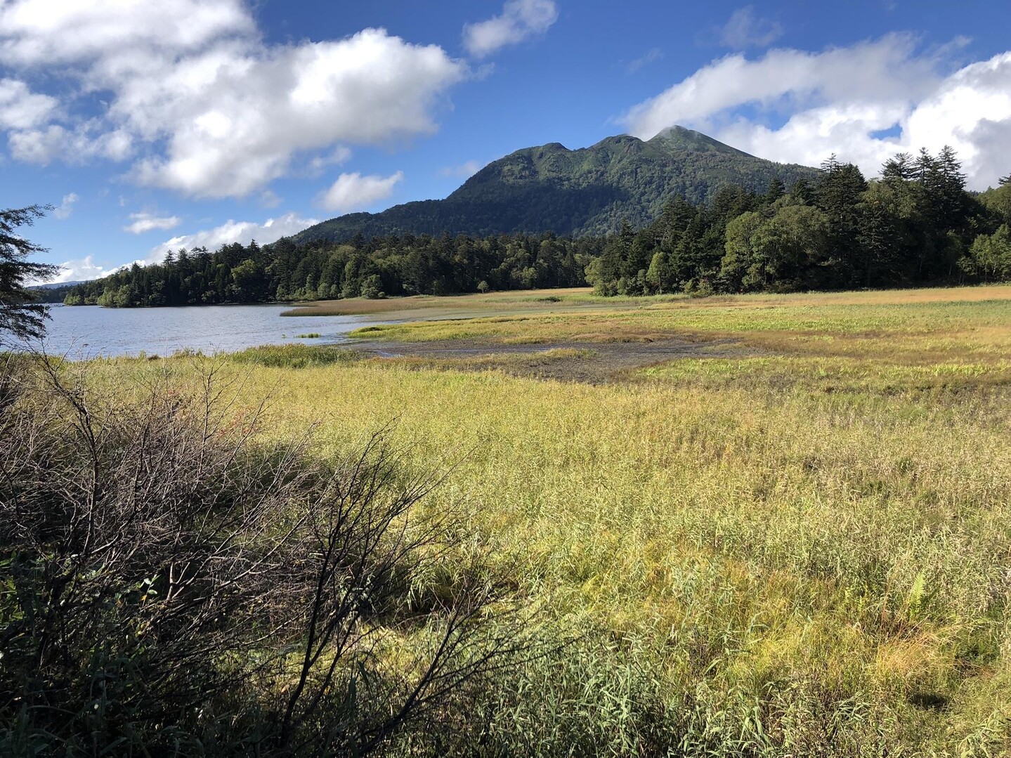 俎嵓・燧ヶ岳(柴安嵓)・ミノブチ岳 / fpさんの尾瀬・燧ヶ岳の活動日記 | YAMAP / ヤマップ
