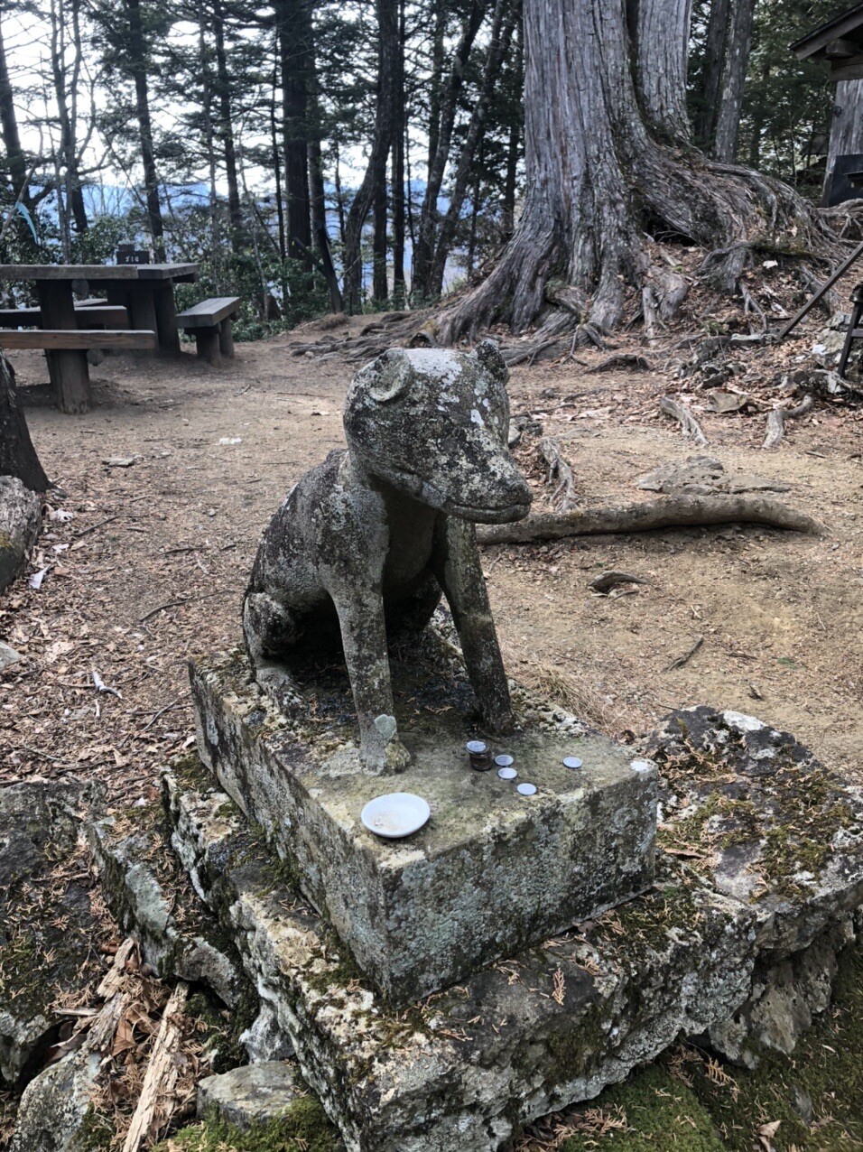 2020.12.29(火) 21:33 / ’naoさんのモーメント | YAMAP / ヤマップ