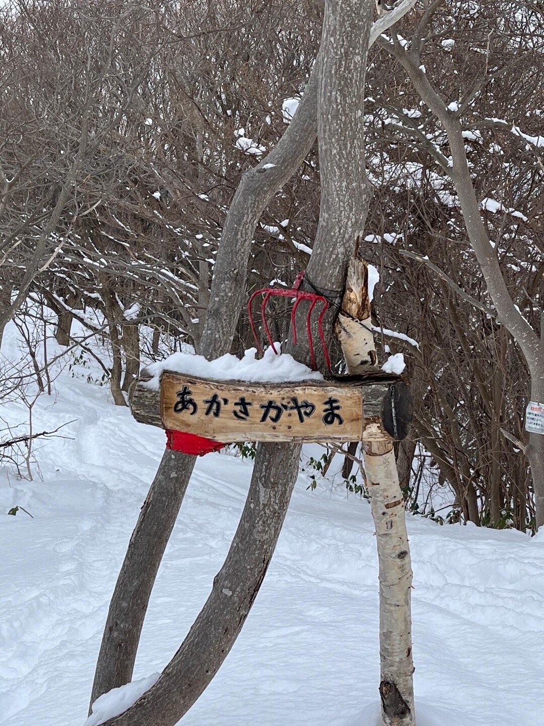 赤坂山 / muraさんの三角山・大倉山・円山の活動データ | YAMAP / ヤマップ