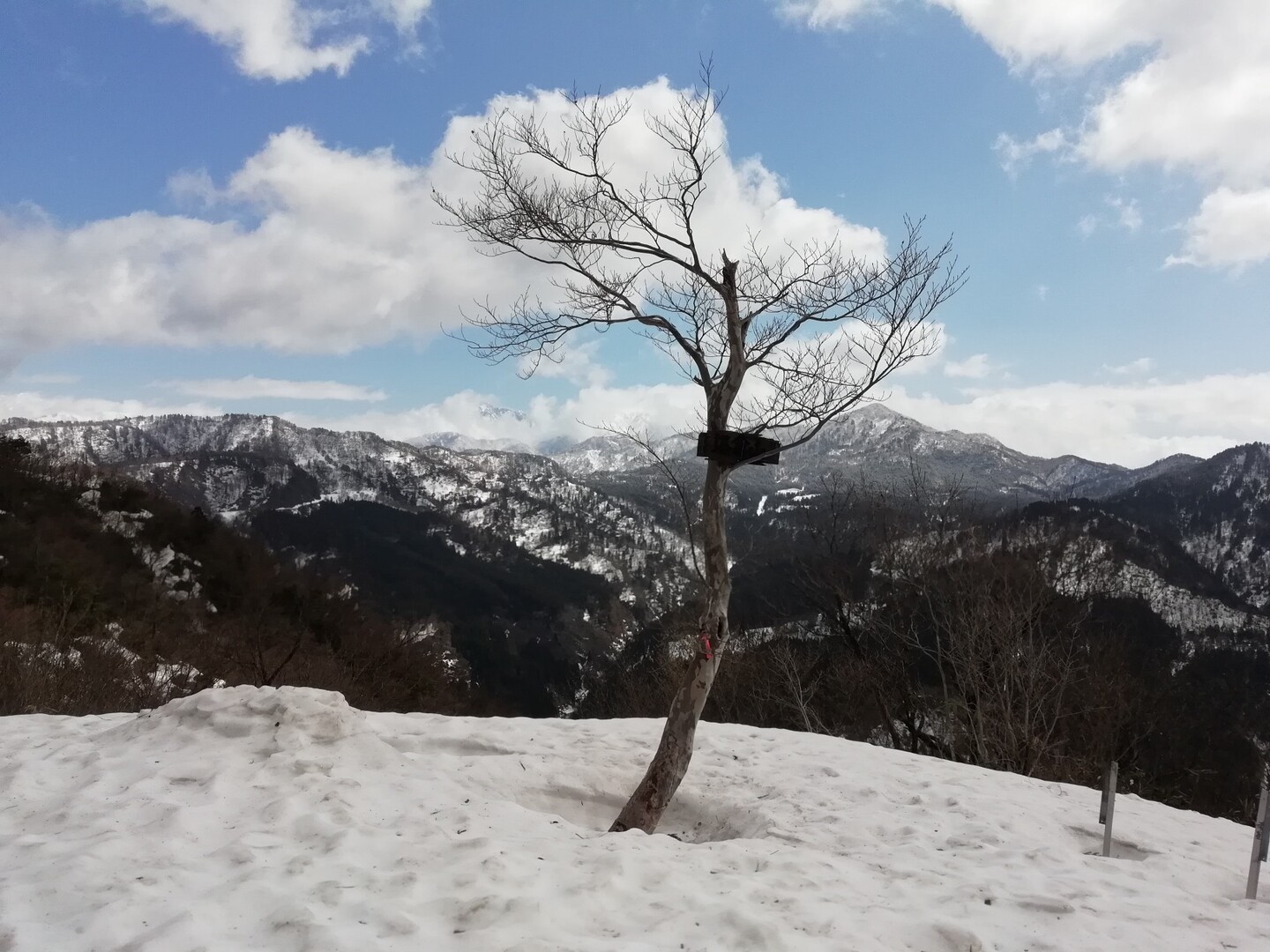 塔倉山 / yamanobu さんの塔倉山の活動データ | YAMAP / ヤマップ