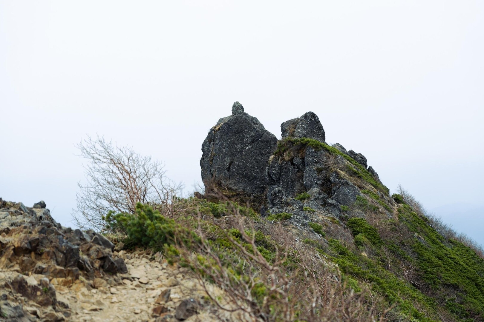 八ヶ岳｜編笠山と権現岳へ / KAMOSOONさんの八ヶ岳（赤岳・硫黄岳・天狗岳）の活動データ | YAMAP / ヤマップ