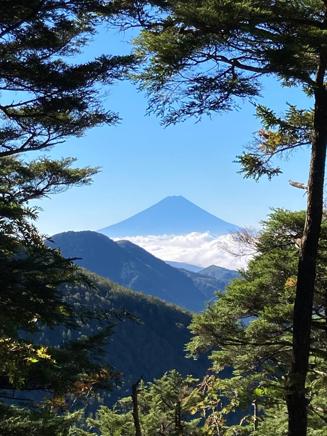 Marvelous view 日本百名山 瑞牆山 / takasnowさんの瑞牆山・金峰山の活動データ | YAMAP / ヤマップ