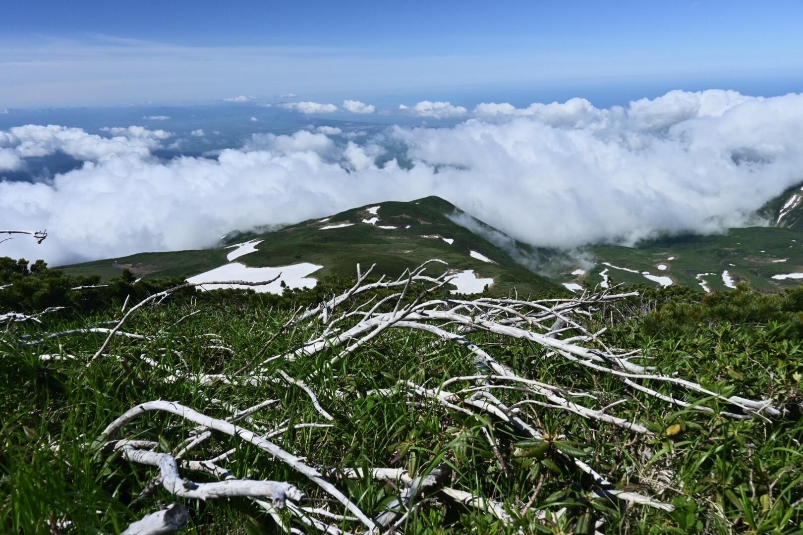 扇子森・文珠岳・伏拝岳・行者岳・七高山・鳥海山（新山） / espresso_markさんの鳥海山・七高山・笙ヶ岳の活動データ | YAMAP / ヤマップ
