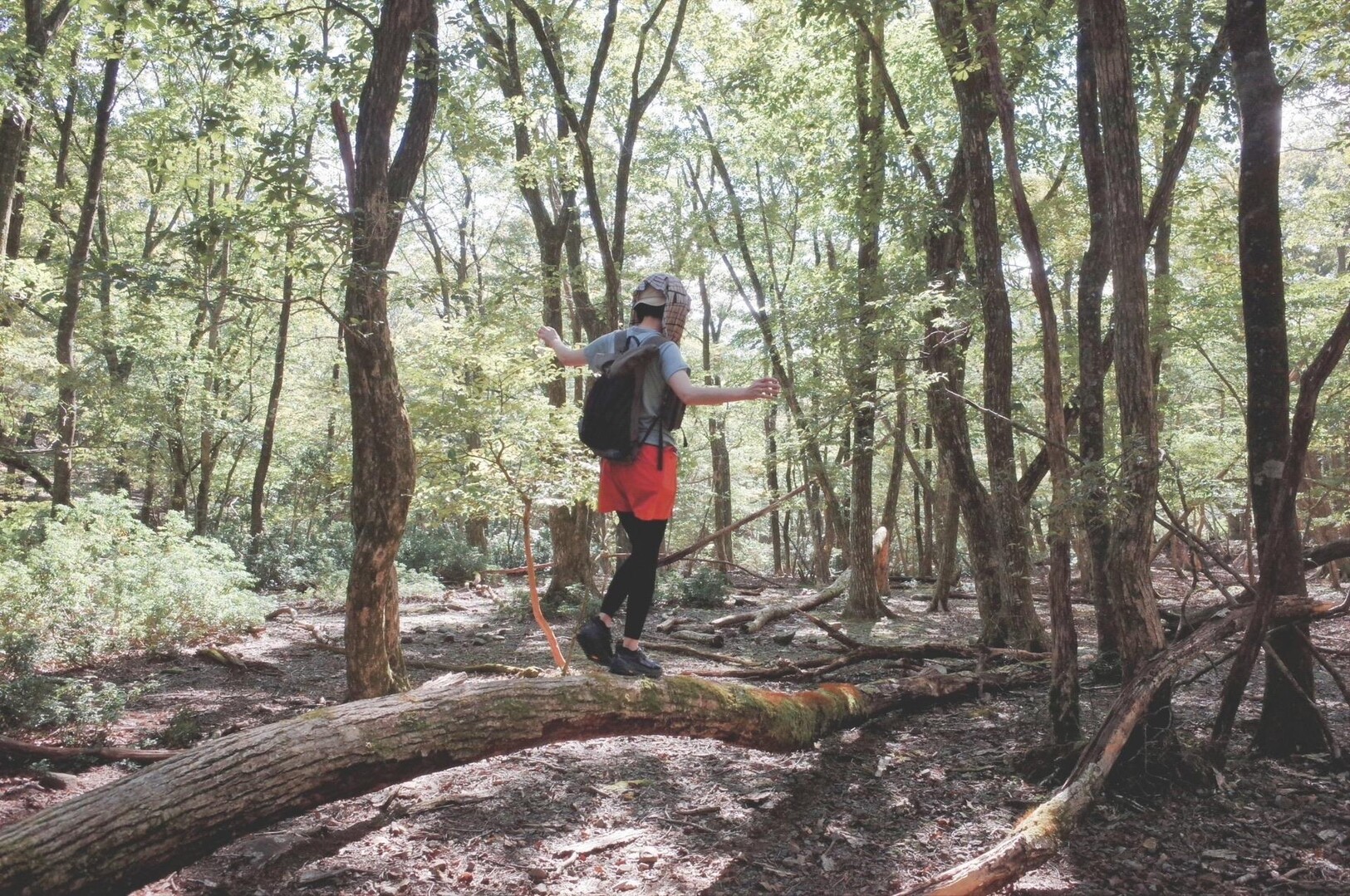 鈴鹿の奥の奥🍁 / yukoさんの釈迦ヶ岳の活動データ | YAMAP / ヤマップ