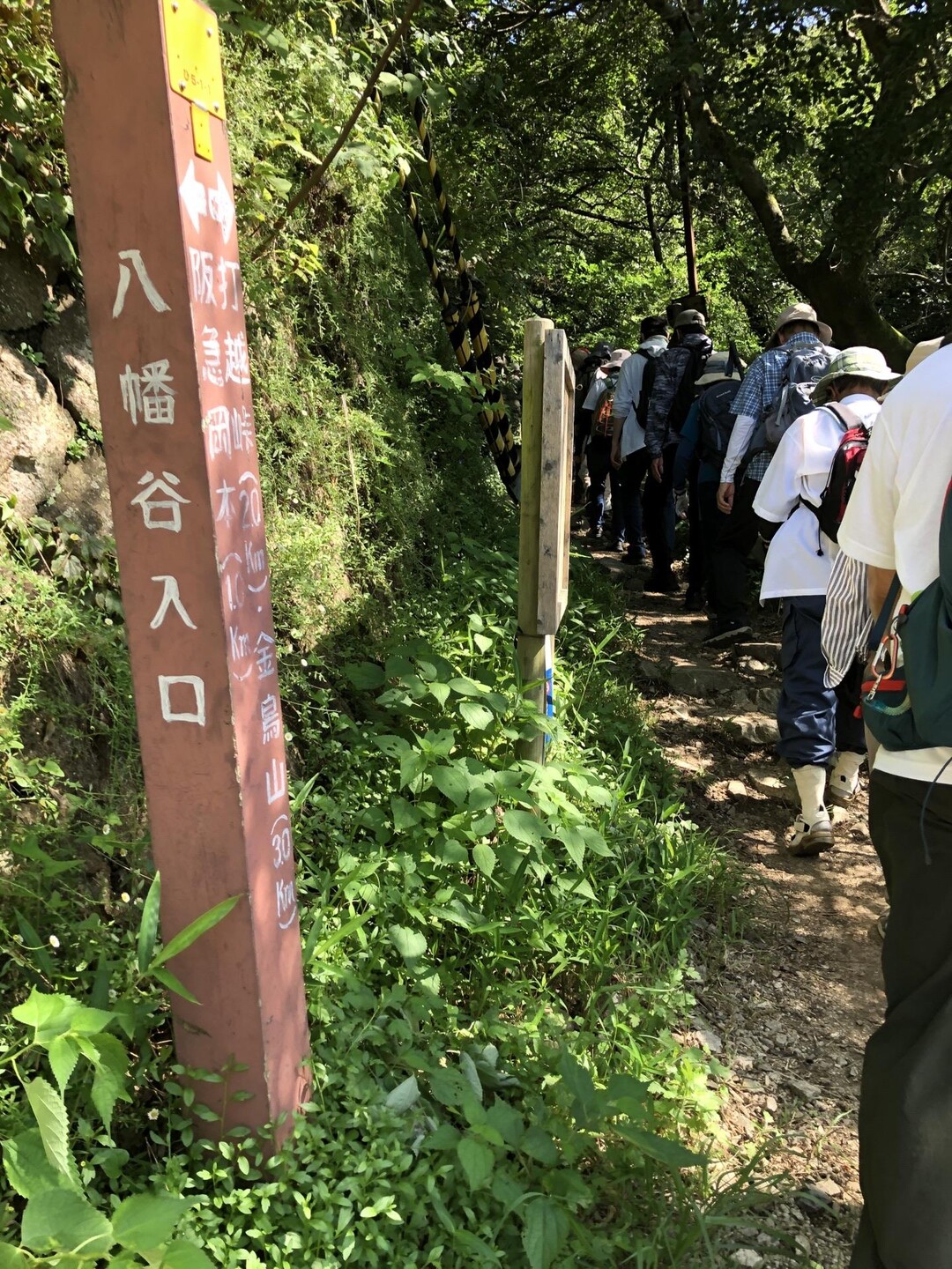 Guestさんの投稿したフィールドメモ | YAMAP / ヤマップ