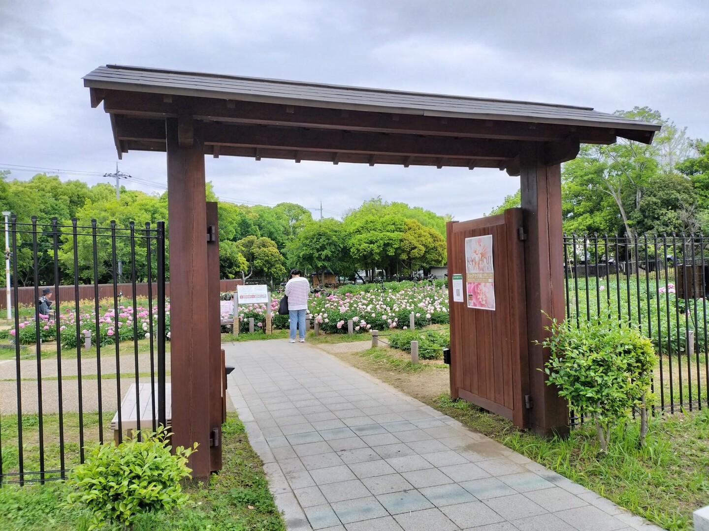 久宝寺緑地シャクヤク園に行ってきました。... / haruさんのモーメント | YAMAP / ヤマップ