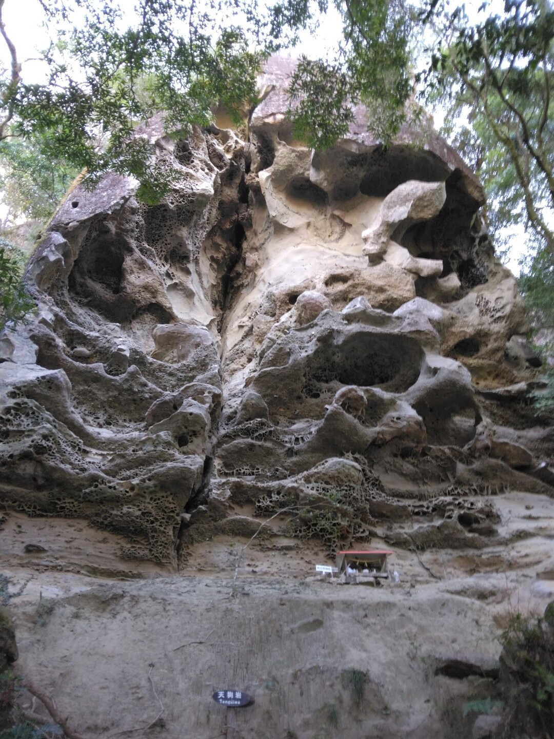 双石山 / s-matsuさんの双石山・花切山・岩壺山の活動データ | YAMAP / ヤマップ