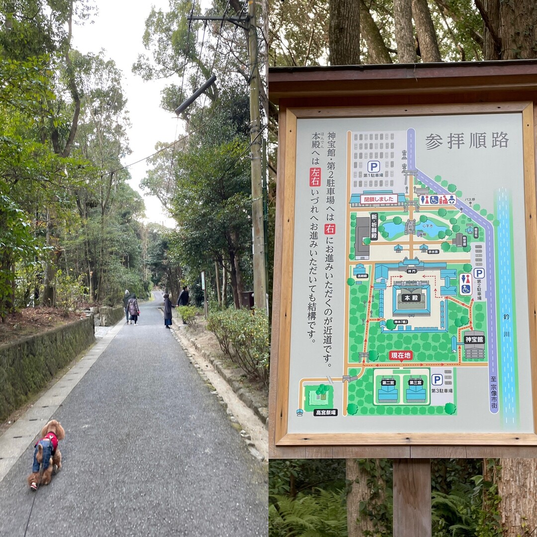 初詣は、宗像大社⛩とお寿司🍣で👍 ... / papuaさんのモーメント | YAMAP / ヤマップ