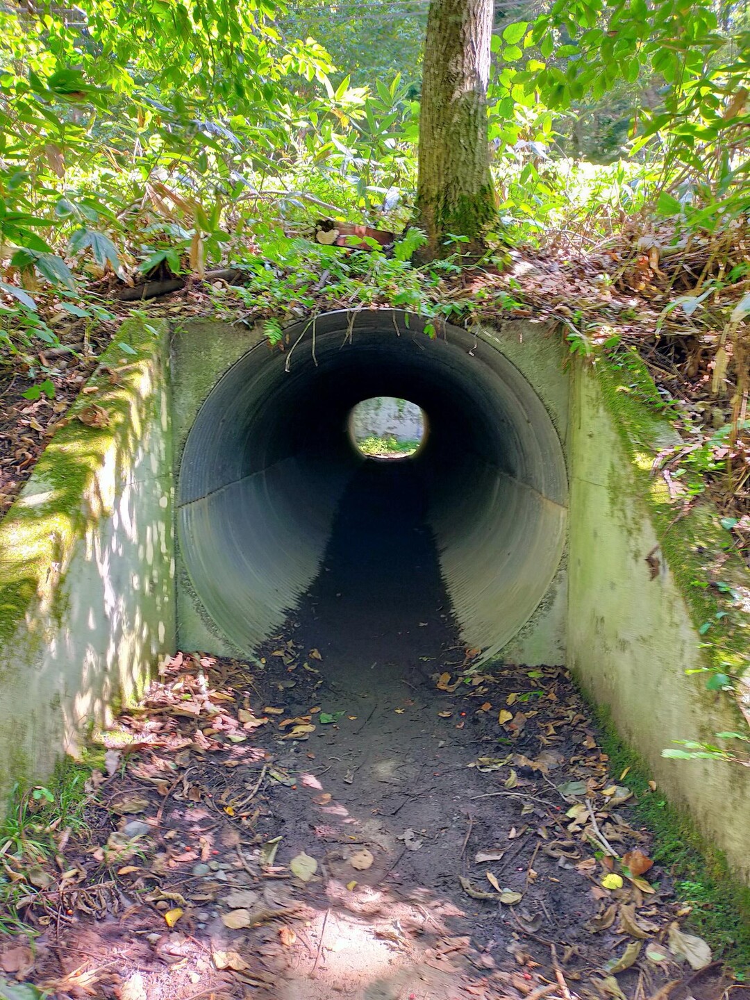 長官山・マオイ文学台 / REM84さんの馬追丘陵・長官山・瀞台（馬追山）の活動データ | YAMAP / ヤマップ