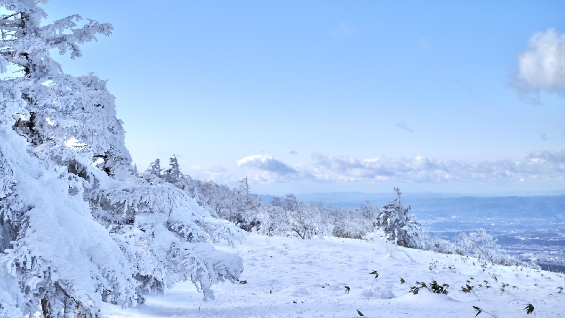 2023登り初めは阿知セブンの雪山から！ / asimkさんの恵那山・大判山・神坂山の活動データ | YAMAP / ヤマップ