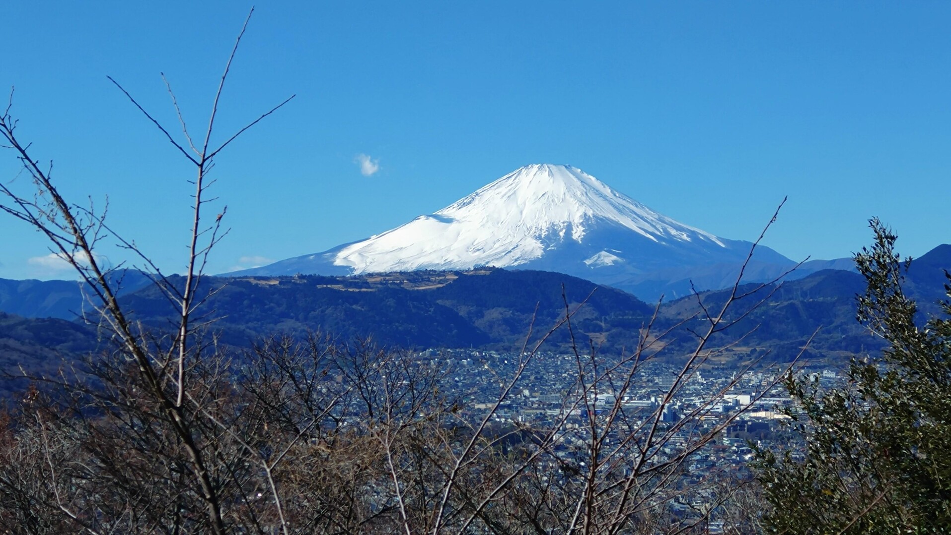 秦野駅から鶴巻温泉駅、権現山・弘法山縦走 / yuruyamaさんの弘法山 下山メシ聖地巡礼マップ#8の活動データ | YAMAP / ヤマップ