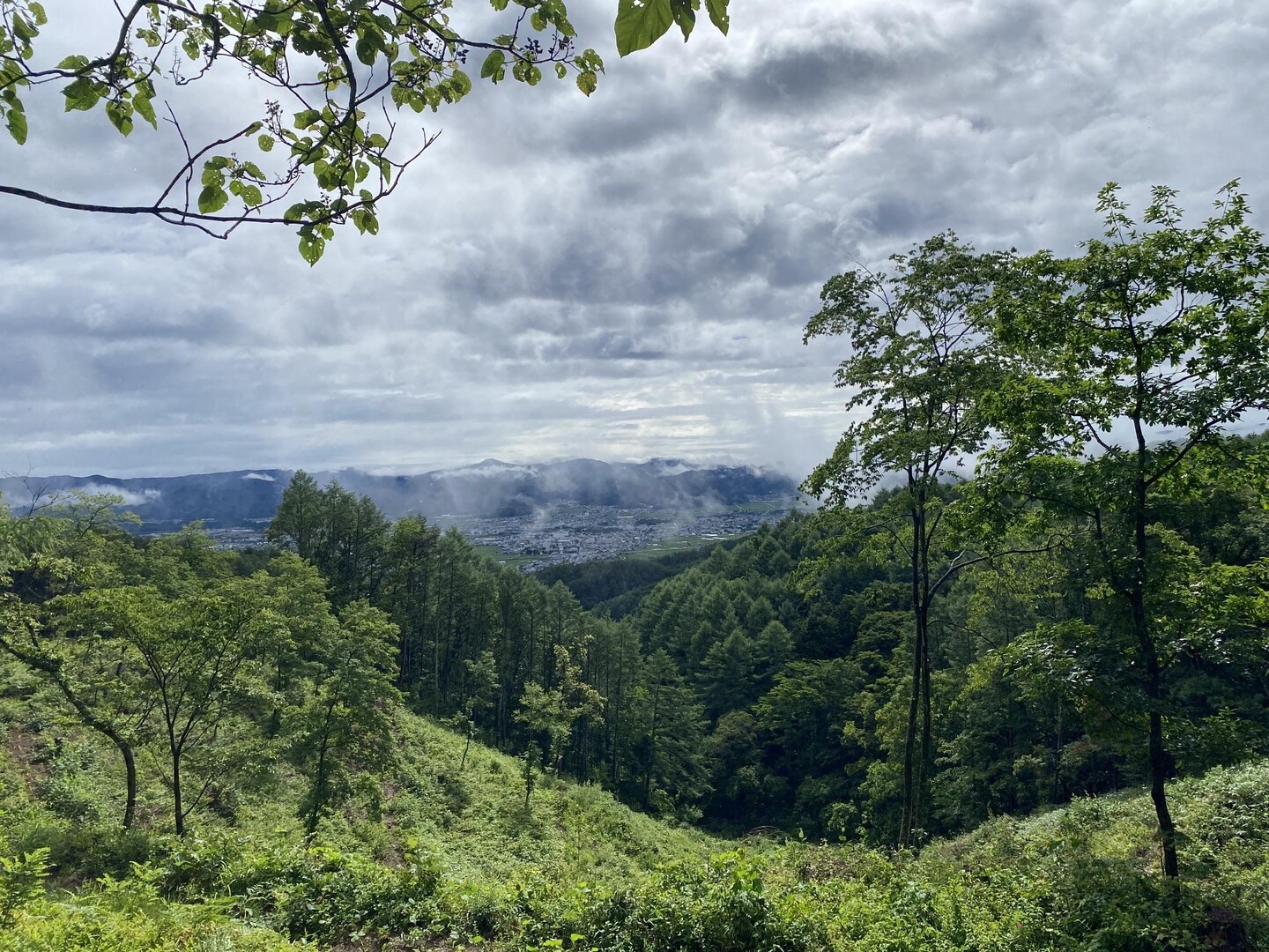 虚空蔵山 / Patさんの虚空蔵山の活動データ | YAMAP / ヤマップ