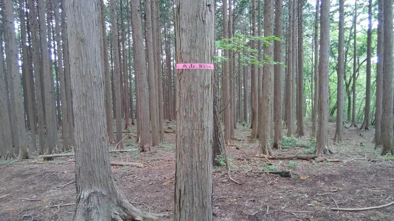 丸山（埼玉県比企郡ときがわ町）の最新登山情報 人気の登山ルート、写真、天気など Yamap ヤマップ