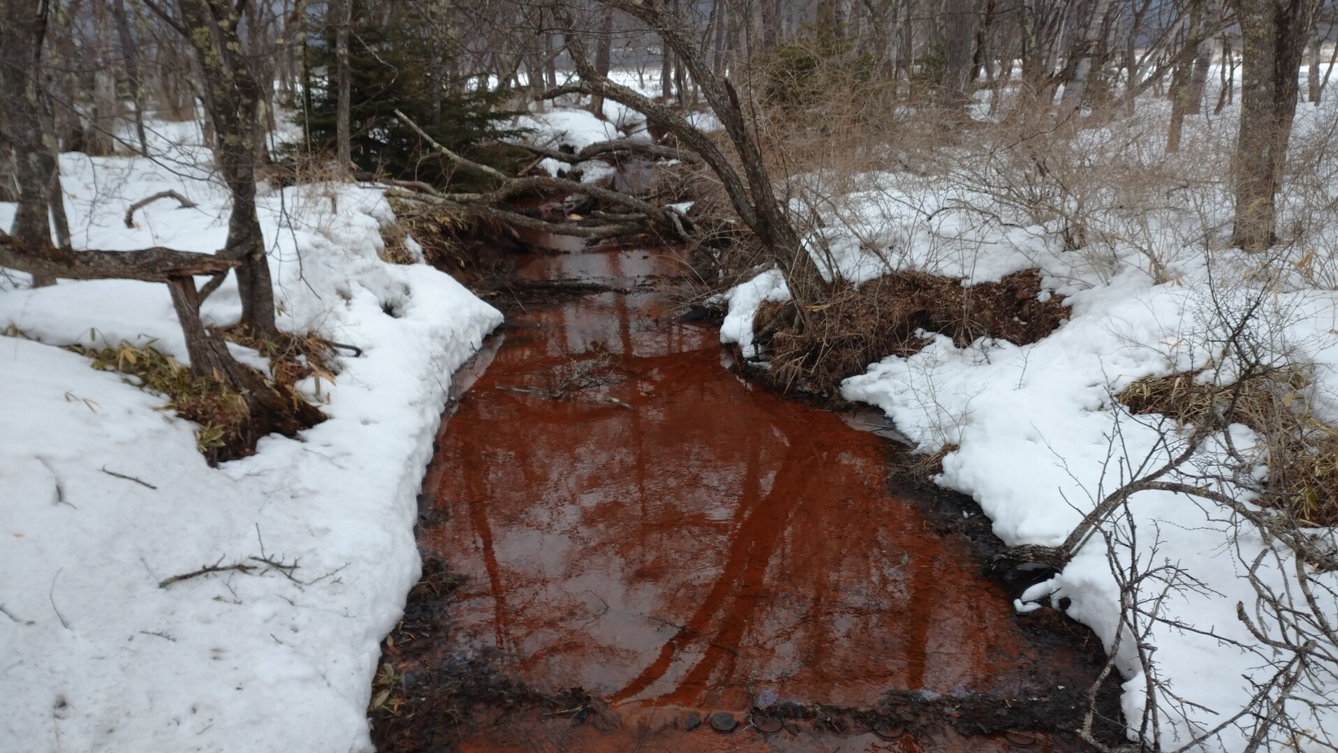 shinpeiさんの投稿したフィールドメモ | YAMAP / ヤマップ