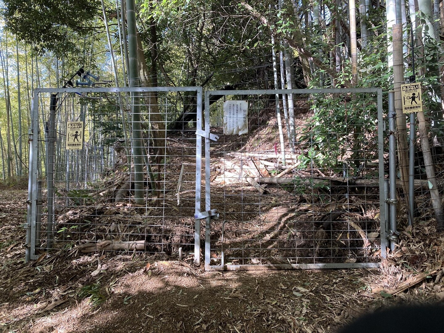 myさんの投稿したフィールドメモ | YAMAP / ヤマップ