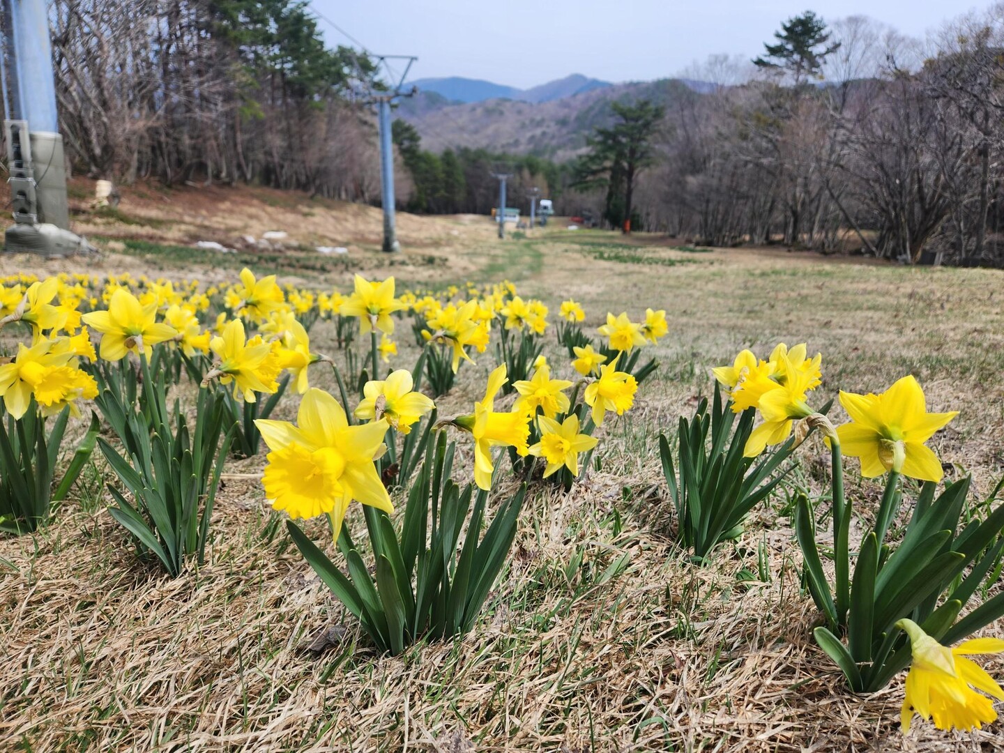 かやばた～深入山へ🎵 / koroさんの恐羅漢山の活動データ | YAMAP / ヤマップ