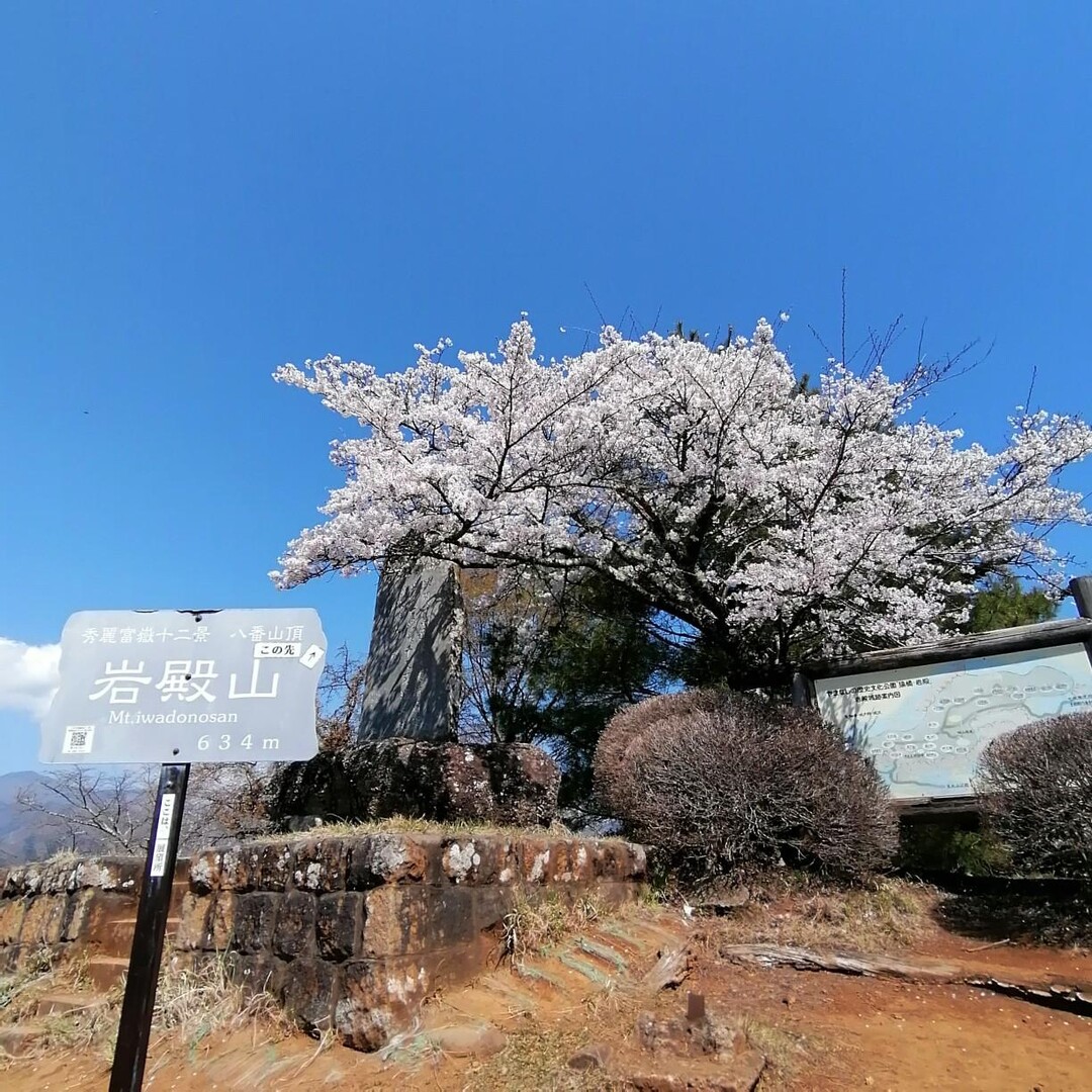 丸山・岩殿山 / ririさんの雁ヶ腹摺山・岩殿山の活動データ | YAMAP / ヤマップ