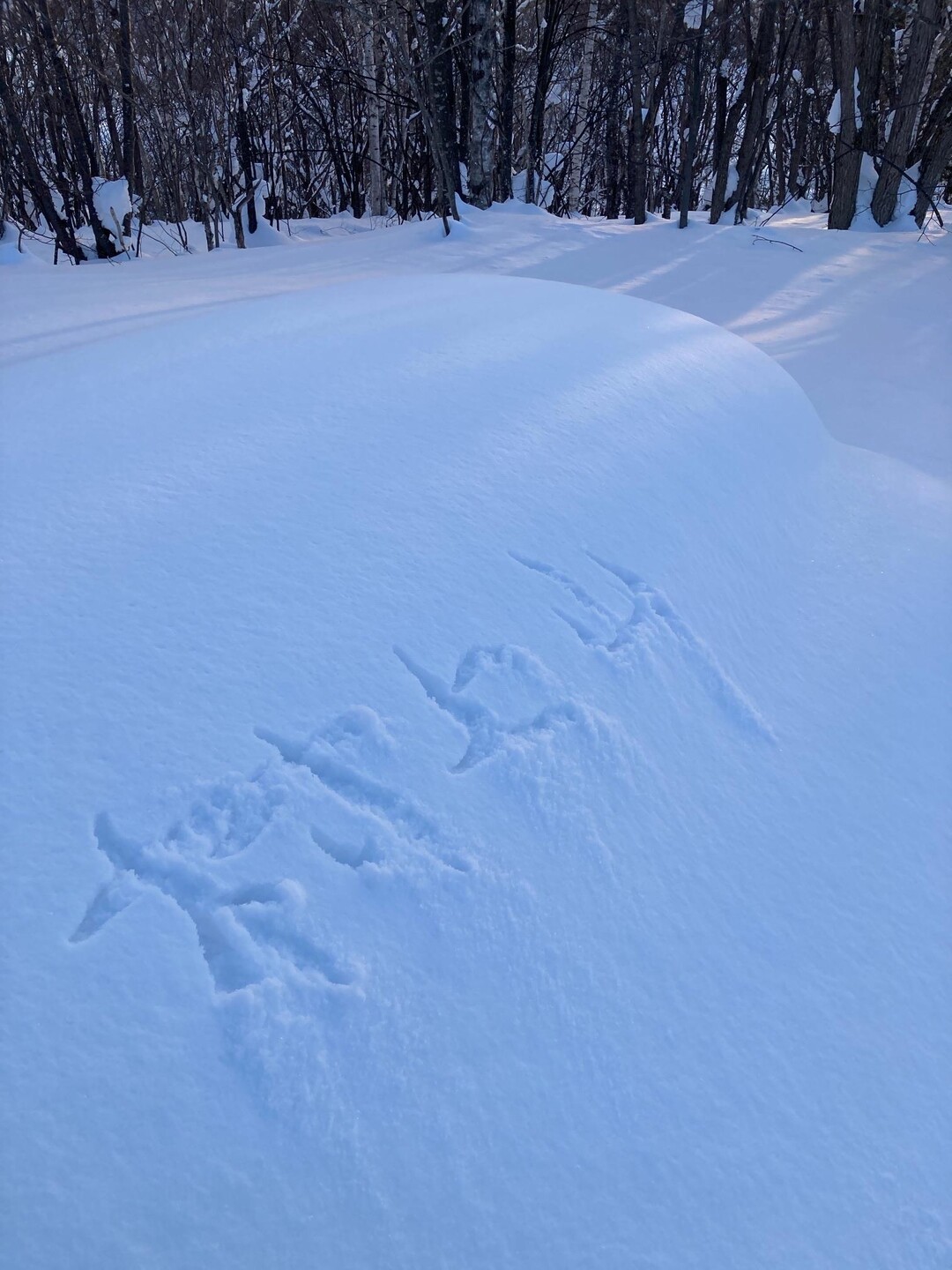 村上山 / TKさんの突哨山の活動データ | YAMAP / ヤマップ