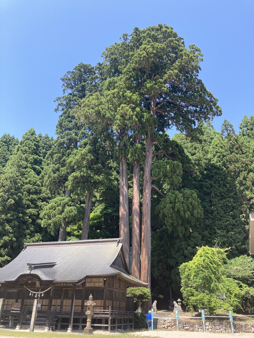 土曜日の下蒜山登山後 真庭市にある中和（... / fumiconさんのモーメント | YAMAP / ヤマップ
