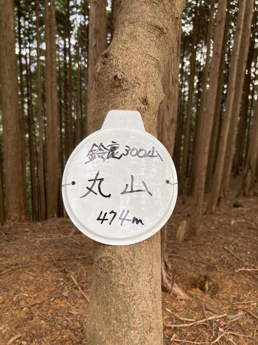 鈴鹿300山•丸山 211/300 / takaさんの綿向山の活動データ | YAMAP / ヤマップ