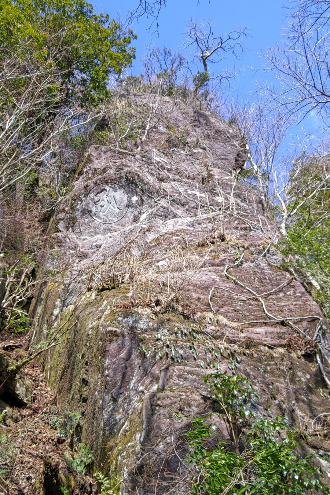 記録 DOMO不要です😊 / weedさんの多良岳・経ヶ岳・五家原岳の活動データ | YAMAP / ヤマップ