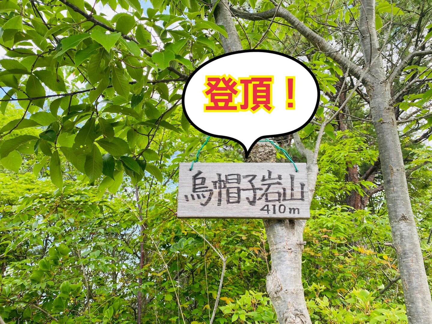 烏帽子岩山・上山 / 鬼嫁さんの鉢巻山・烏帽子岩山・灰ヶ峰の活動データ | YAMAP / ヤマップ