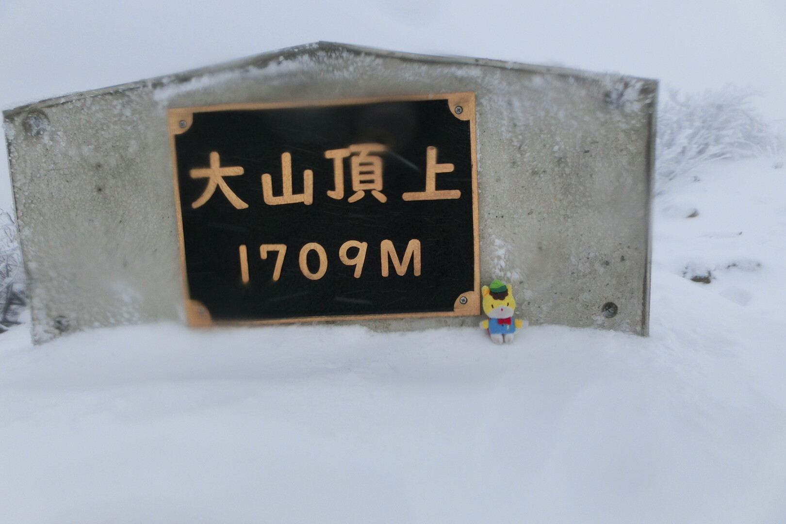 Goto 出雲大社＆大山 / syo(ummagumma)さんの大山・甲ヶ山・野田ヶ山の活動データ | YAMAP / ヤマップ